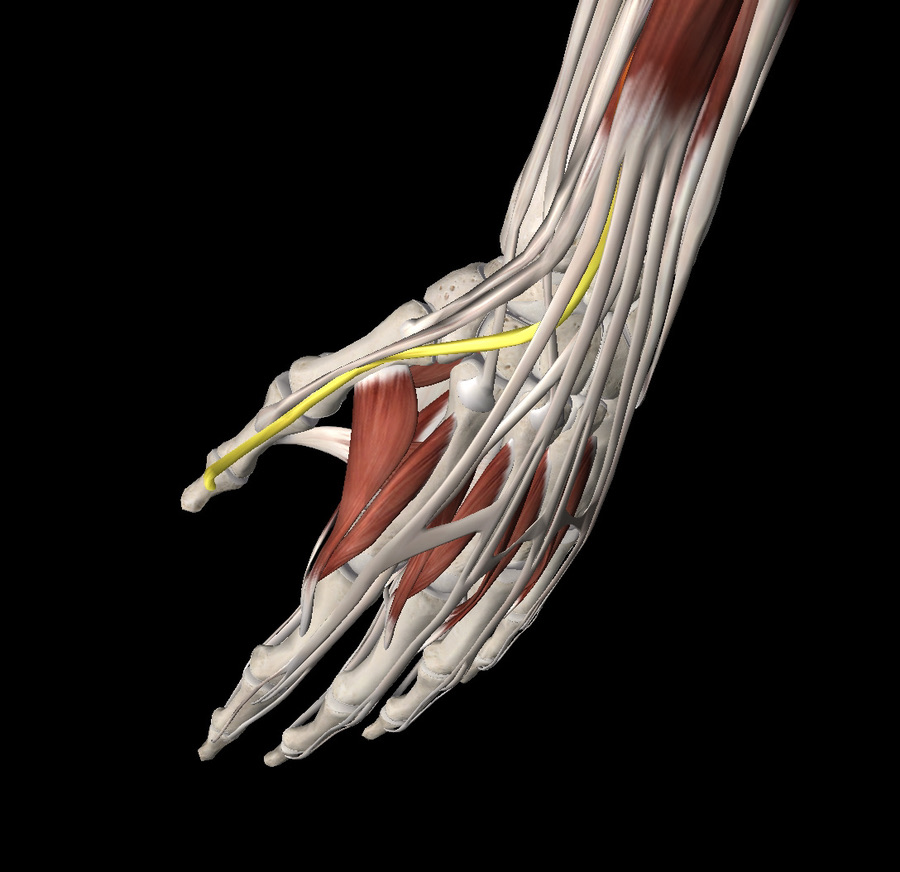 Wrist Pain » Dr. Tom LaFountain